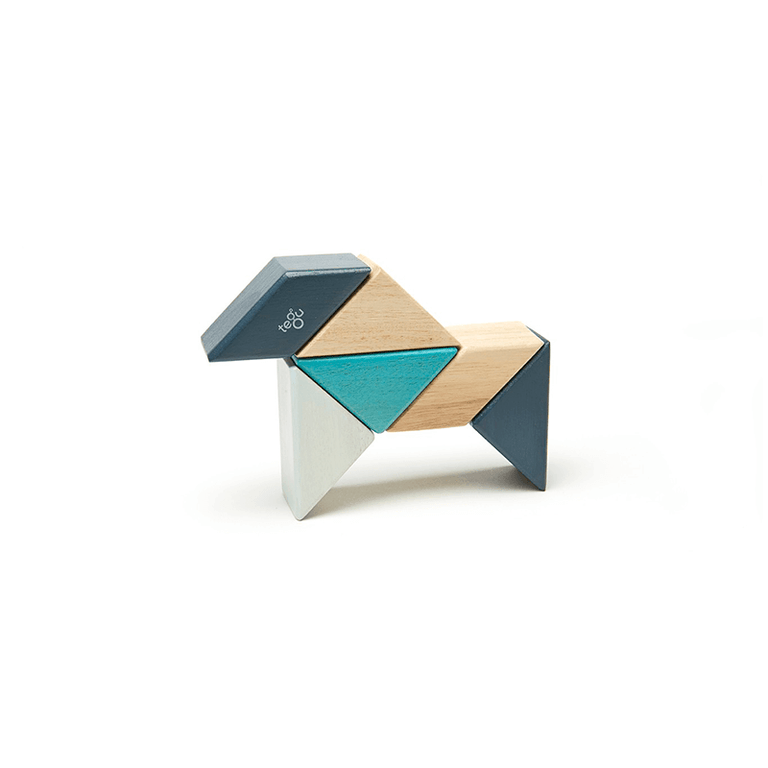 Tegu Magnetic Blocks