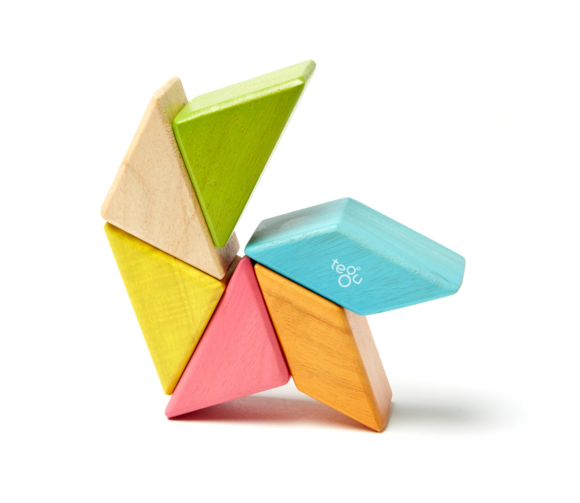 Tegu Magnetic Blocks